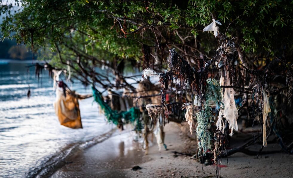 Guide to Disaster Cleanup as the 2025 Hurricane Season Ends